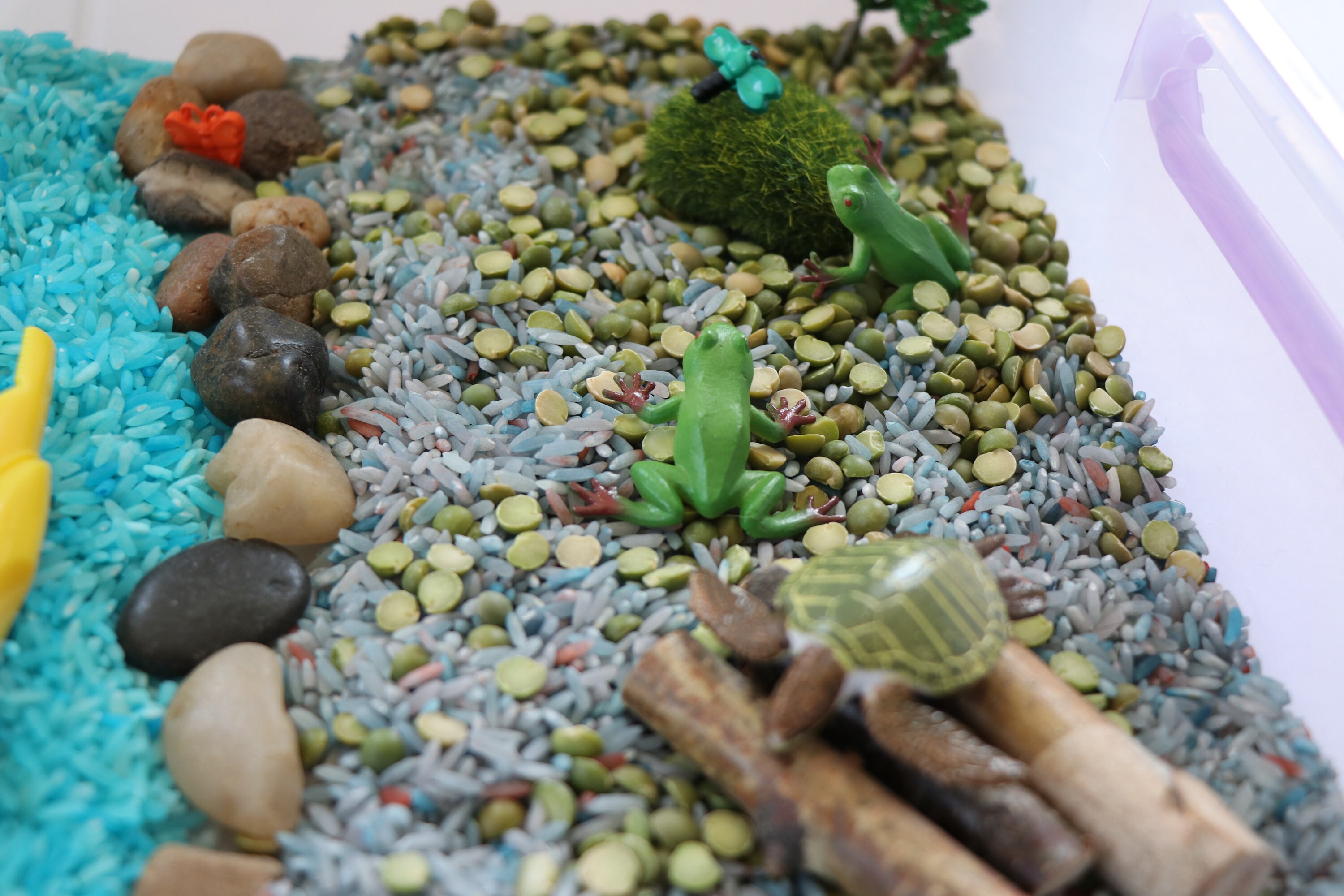 Animal Swamp Sensory Bin, Sensory Bin, Preschool Activity, Sensory Play ...