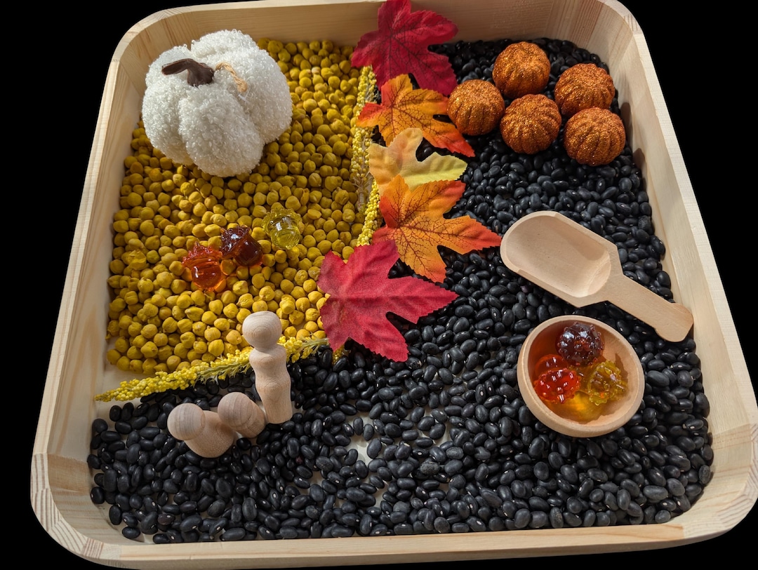 Fall Sensory Bin, Montessori Play Kit, Wooden Pegs, Acorns & Pumpkins ...