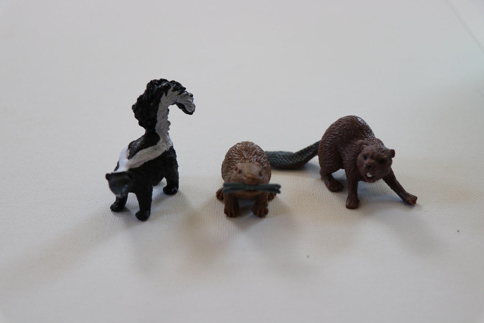 Woodland Animal Sensory Bin, Sensory Bin, Preschool Activity, Sensory ...