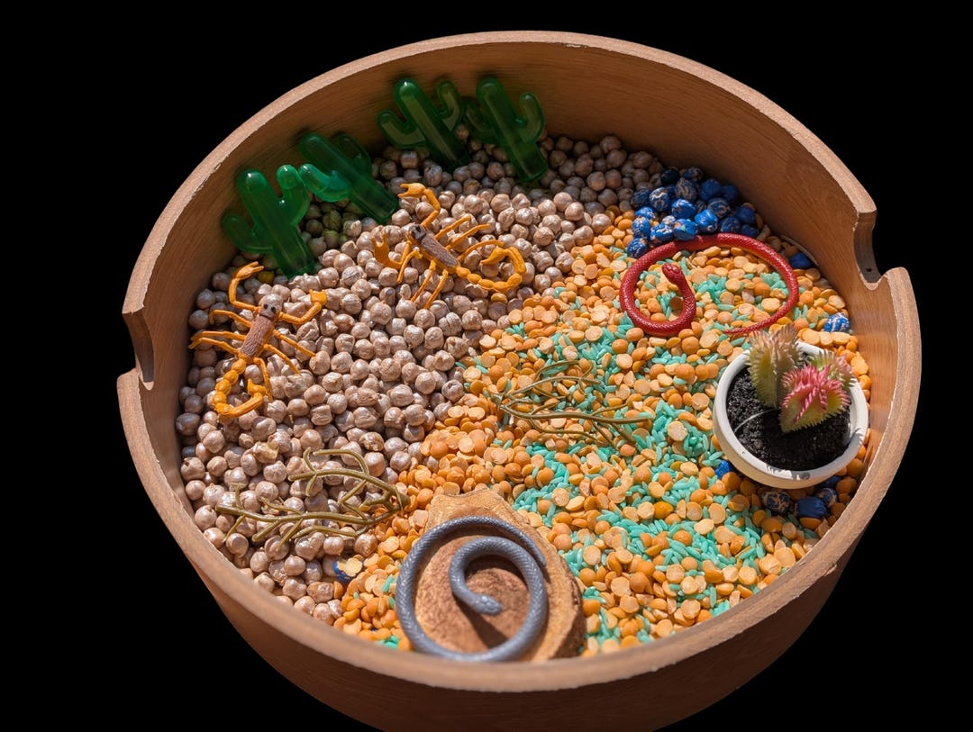 Desert Sensory Bin, Snake, Scorpion, Cactus, Montessori Play Kit - Etsy