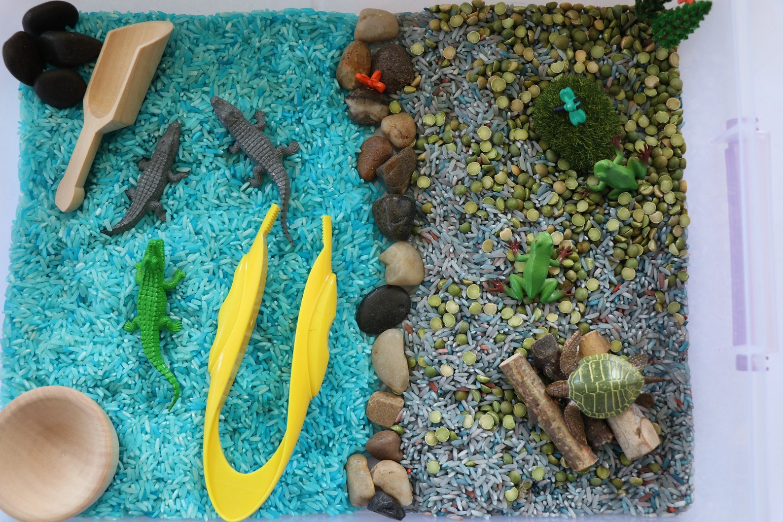 Animal Swamp Sensory Bin, Sensory Bin, Preschool Activity, Sensory Play ...