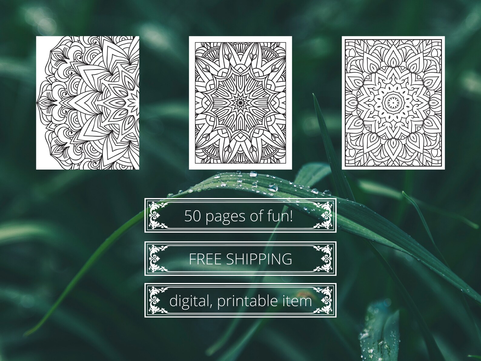 Mandala Coloring Pages Meditation Relaxation Stress Relief - Etsy