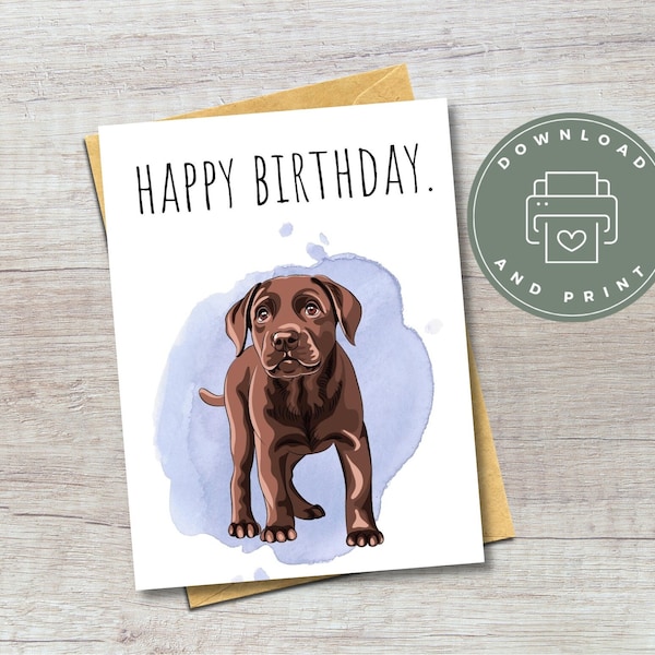 Chocolate Lab Birthday Cards - Etsy