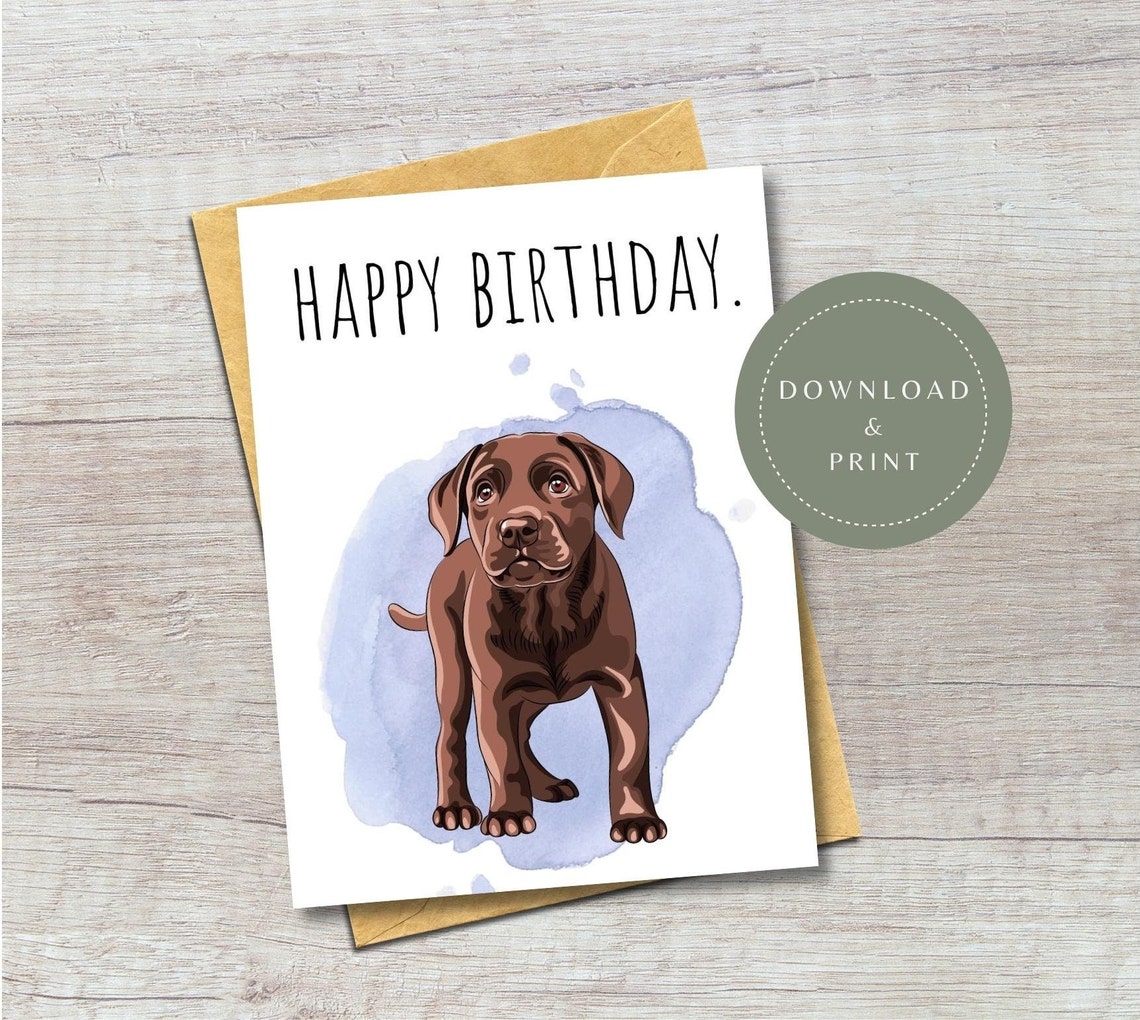 Printable Labrador Birthday Card Digital Chocolate Lab Dog - Etsy