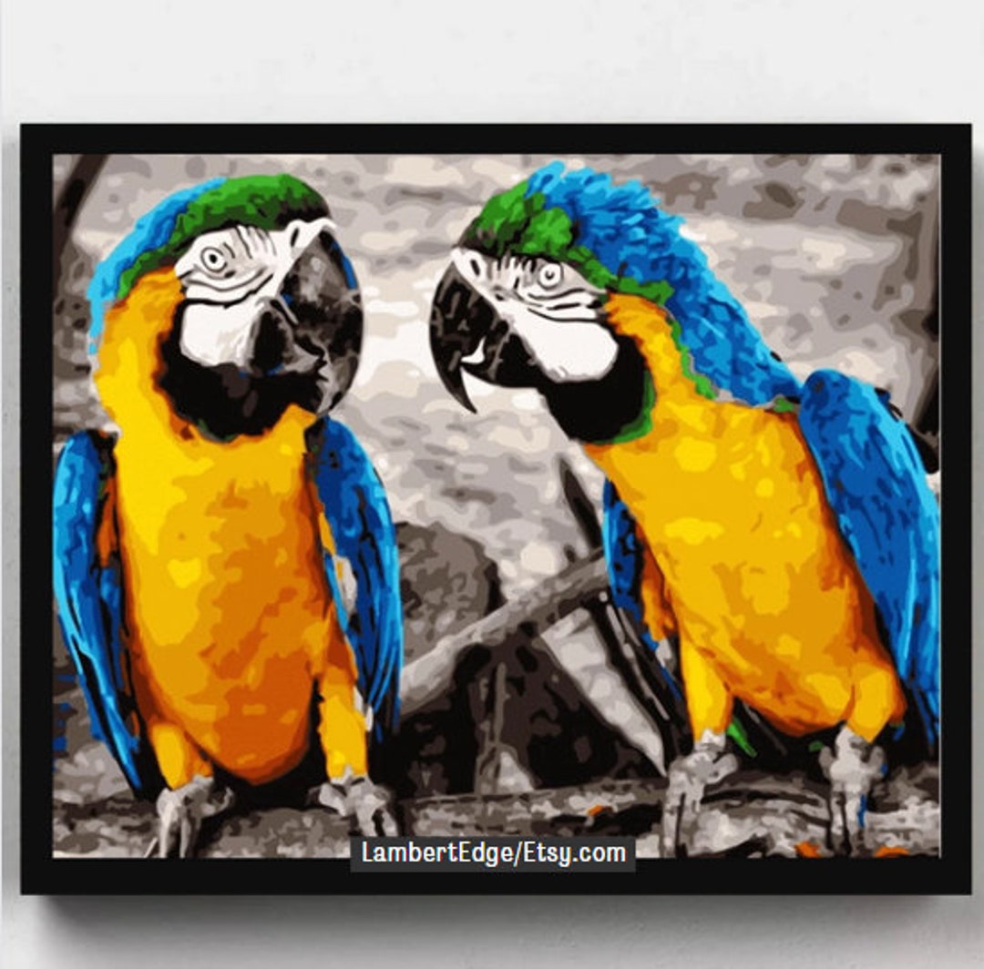 Cute Parrots Paint by Numbers Kit - Etsy