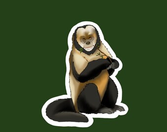 White-faced Capuchin Monkey Sticker Safari Primate Vintage - Etsy