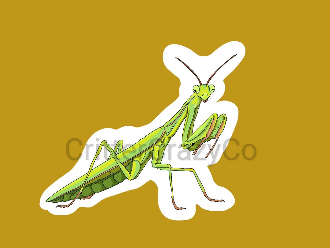 Praying Mantis Sticker - Etsy