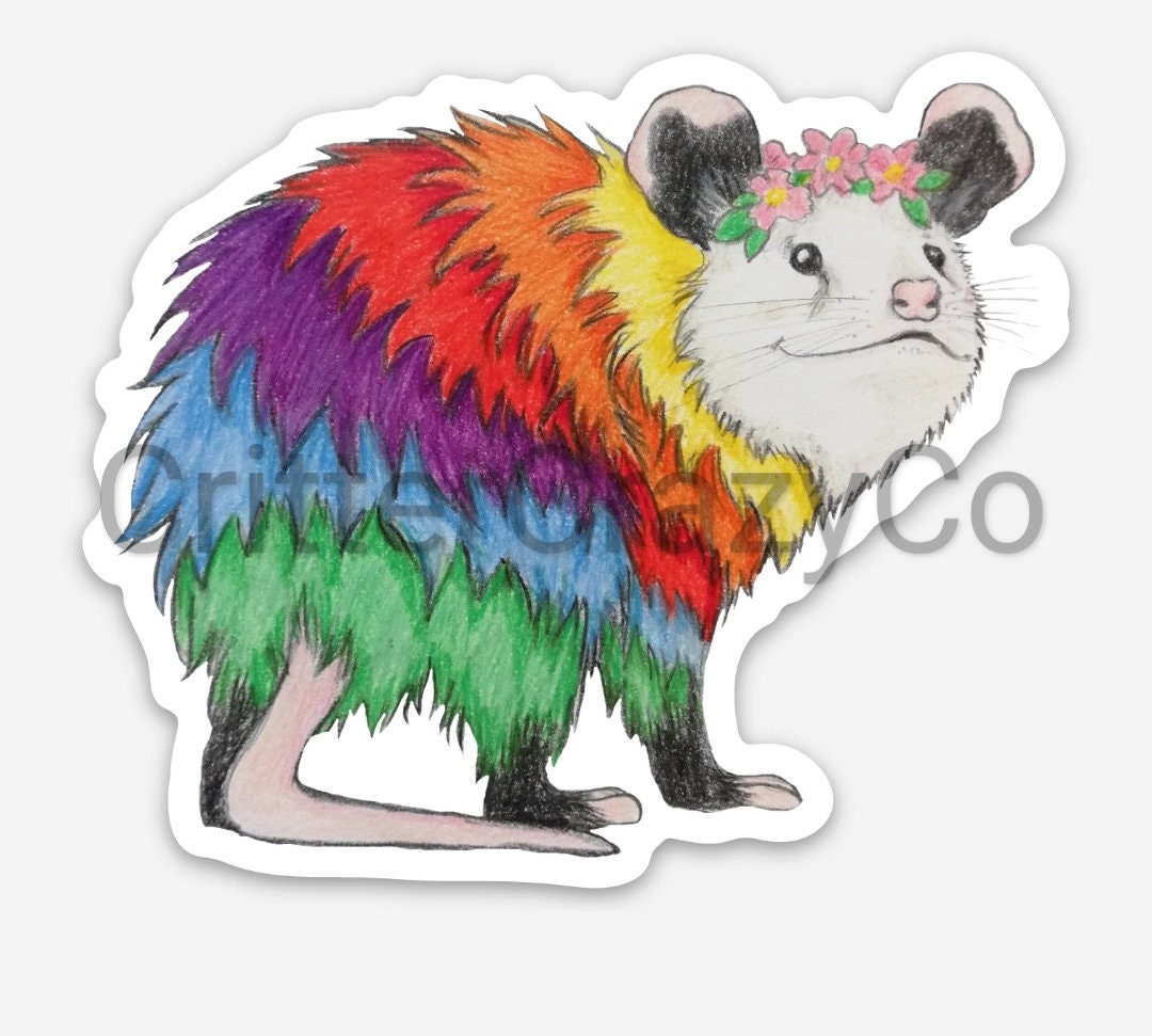 Rainbow Opossum Sticker - Etsy