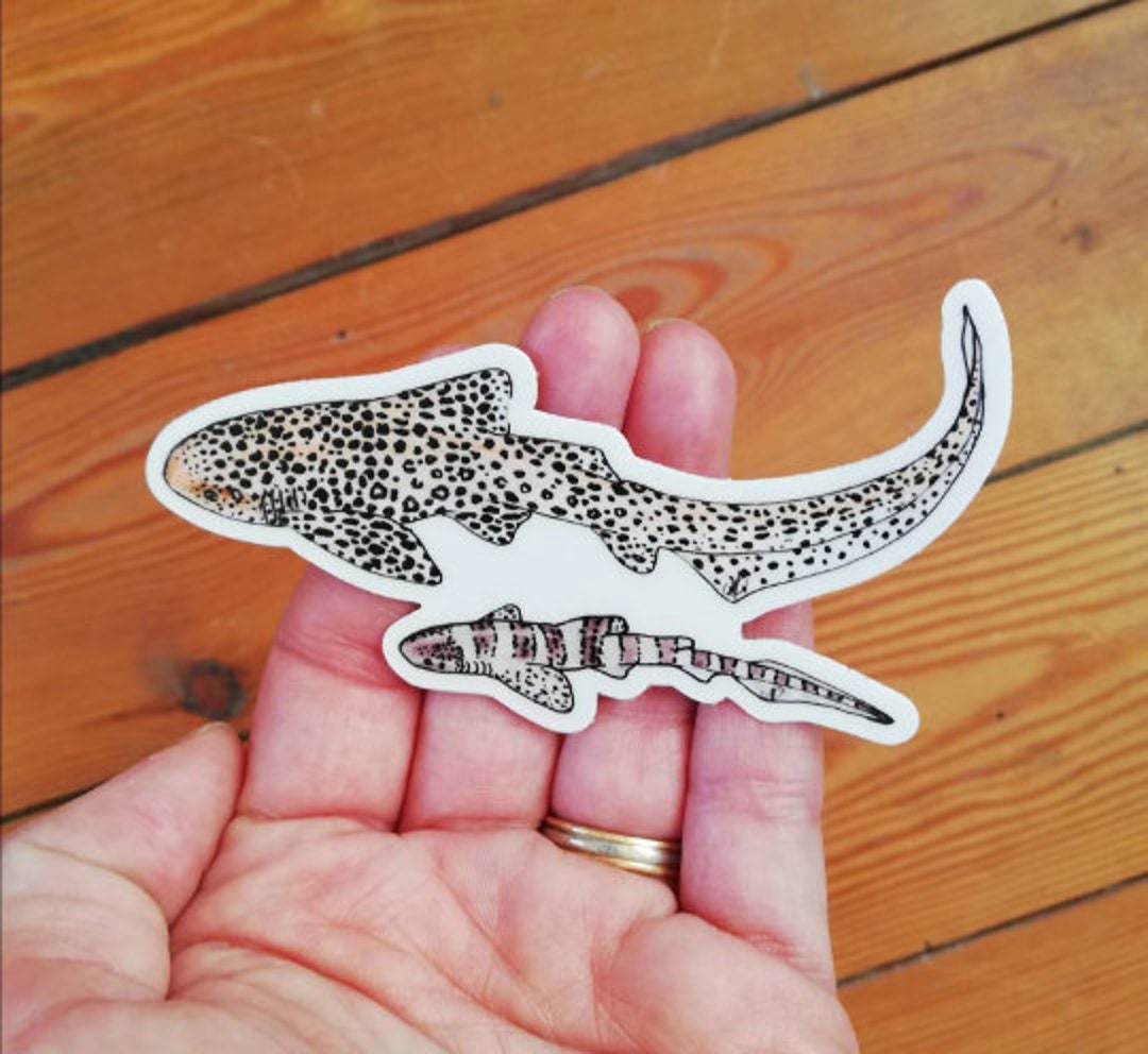 Zebra Shark Sticker Waterproof and Made From High Quality - Etsy