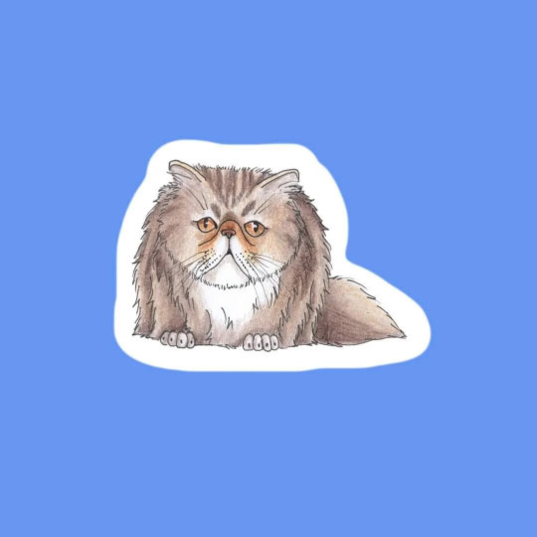 Persian Cat Sticker - Etsy