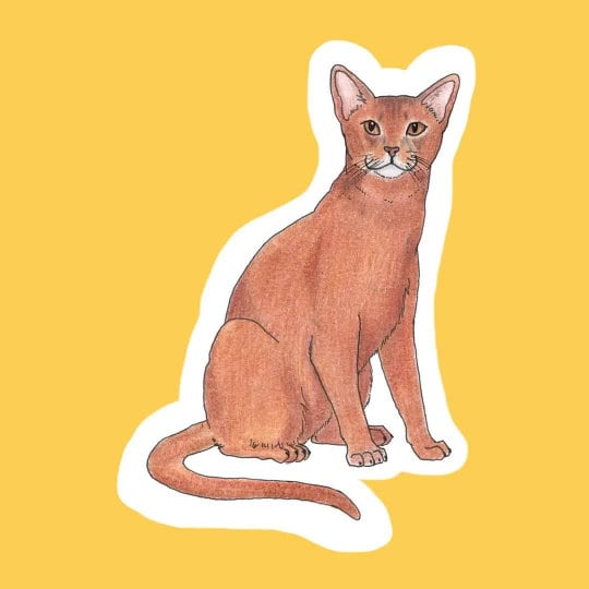 Abyssinian Cat Sticker Made of Vinyl in Small and Big Sizes for Your ...