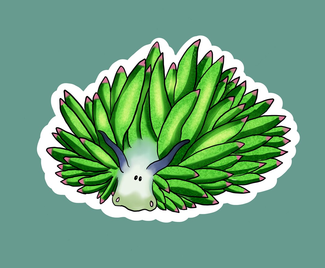 Leaf Sheep Slug Sticker - Etsy