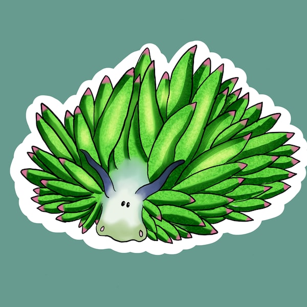 Leaf Sheep Sea Slug - Etsy