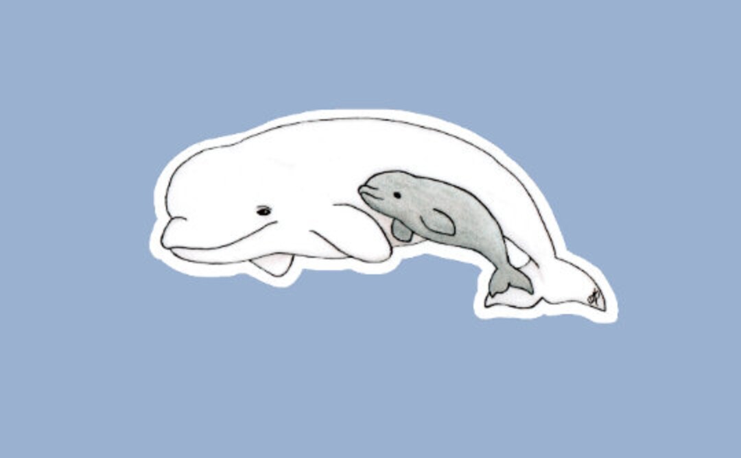 Beluga Whale Mom and Baby Sticker - Etsy