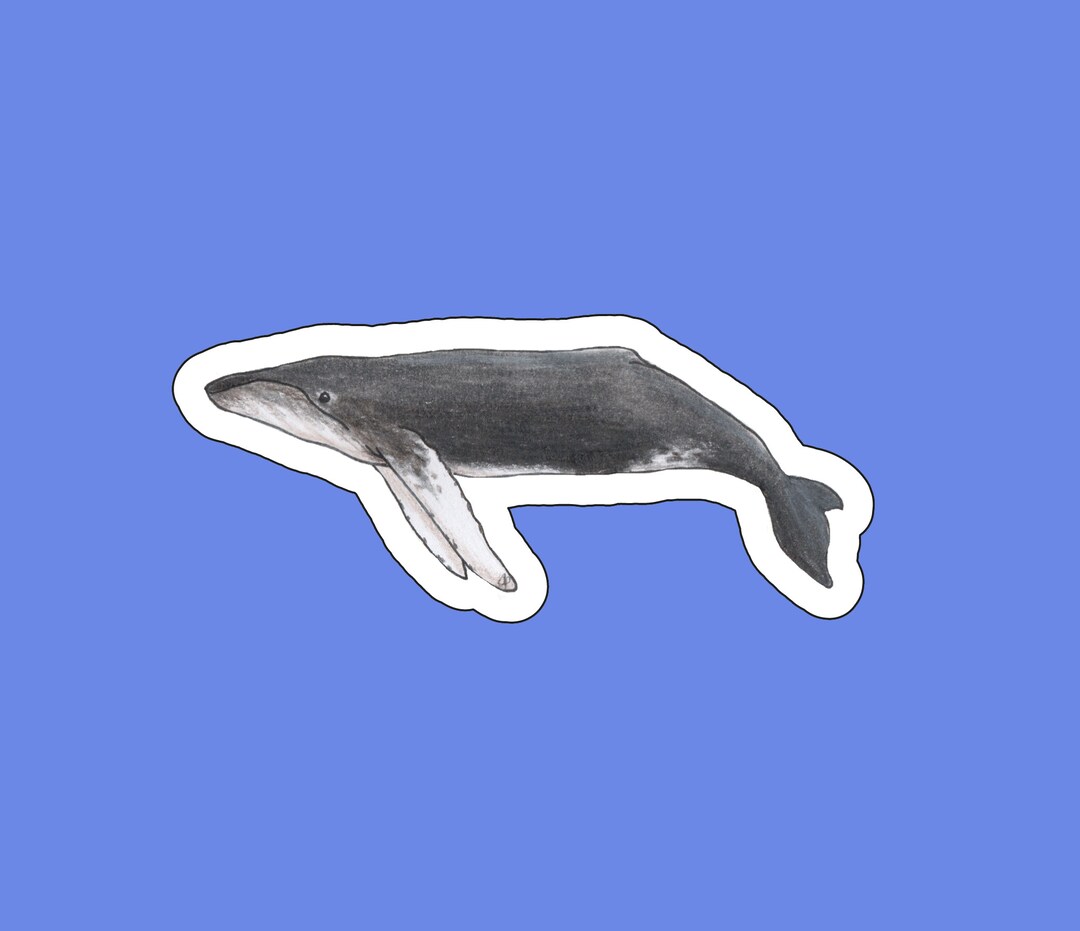 Humpback Whale Sticker - Etsy
