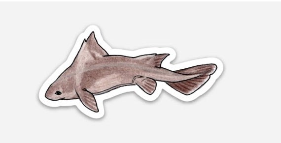 Angular Roughshark Sticker Waterproof and Made From High | Etsy