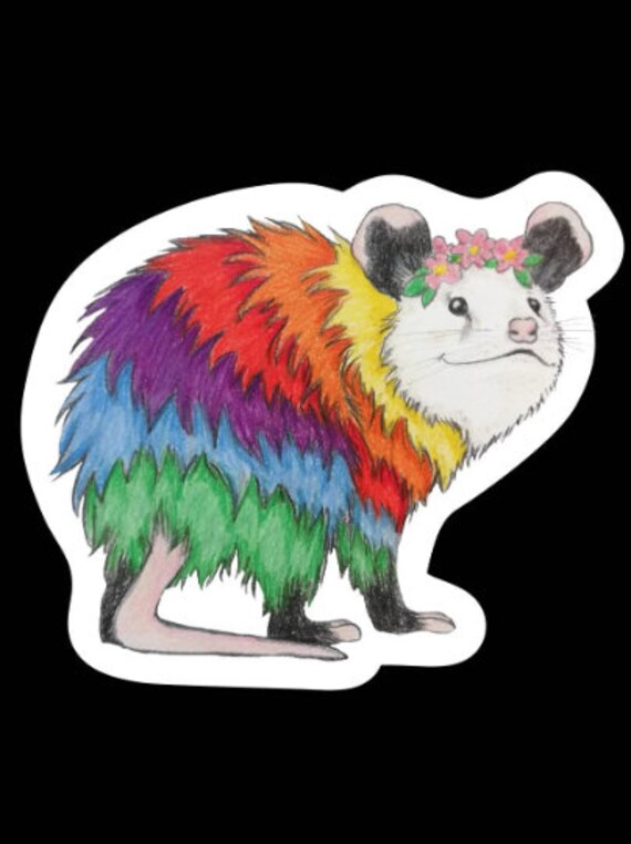 Rainbow Opossum Sticker | Etsy
