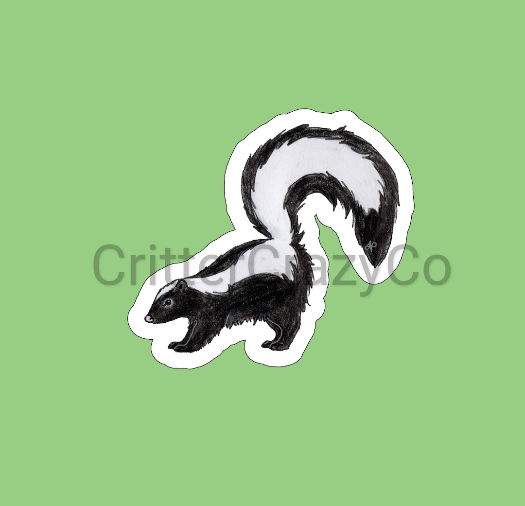 Skunk Sticker 1, WHITE BACKGROUND - Etsy