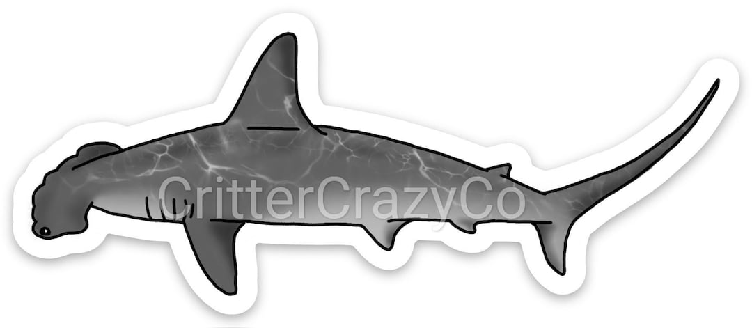Swimming Hammerhead Shark Sticker, WHITE BACKGROUND - Etsy