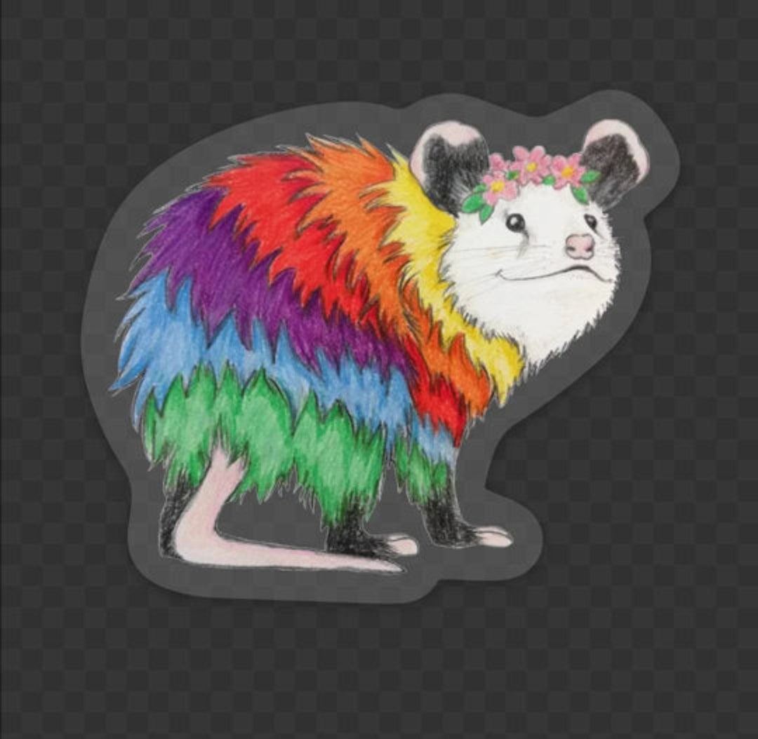 Transparent Rainbow Opossum Sticker - Etsy