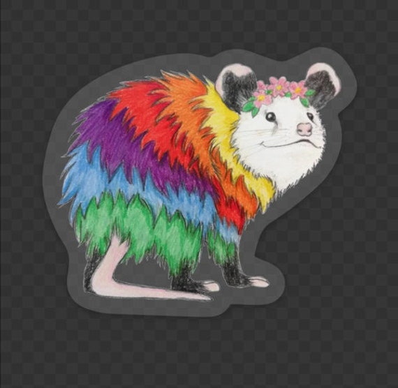 Transparent Rainbow Opossum Sticker | Etsy