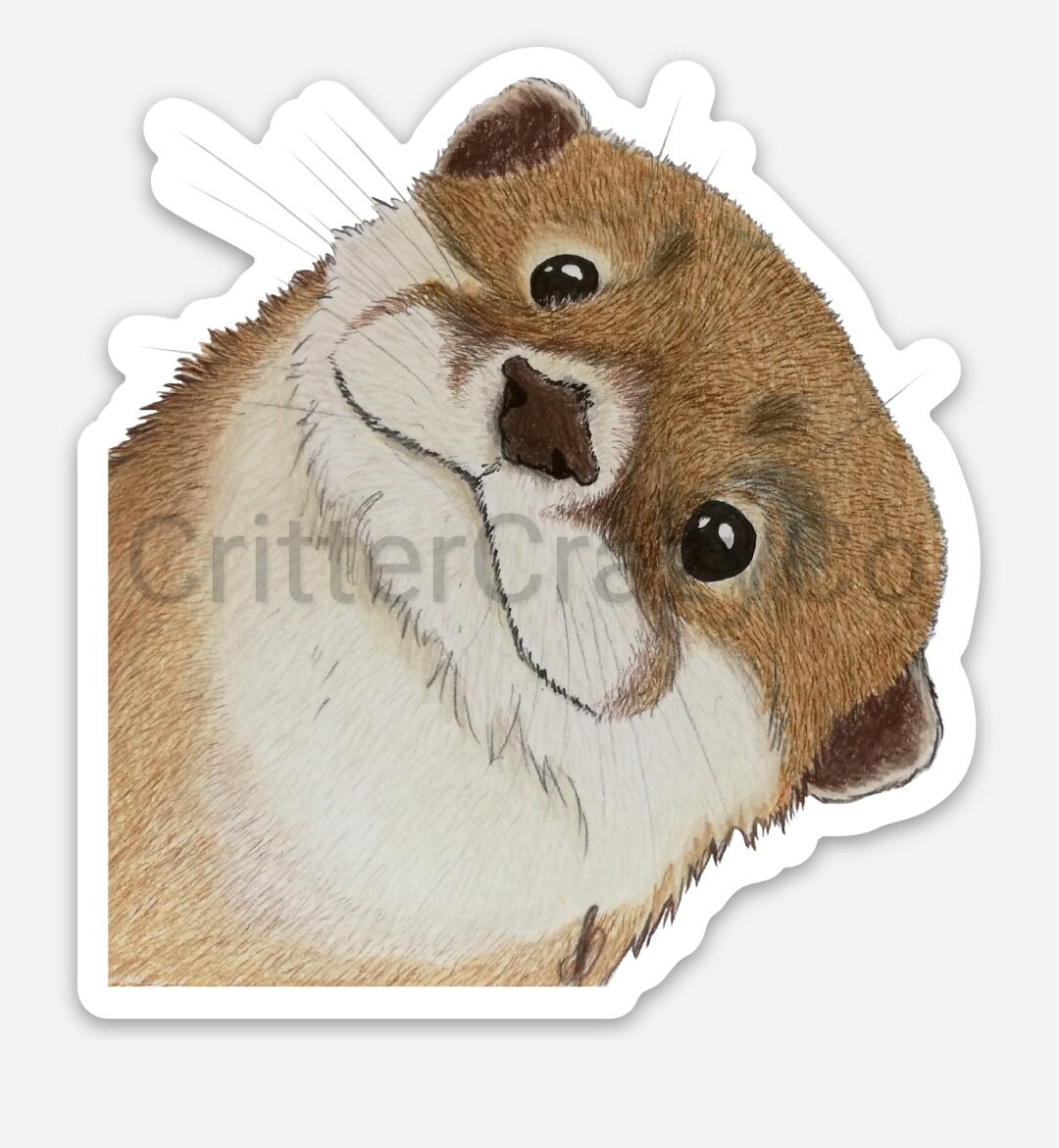 Otter Peek A Boo MAGNET Small - Etsy