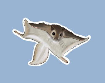 Flying Decal - Etsy