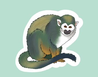Spider Monkey Sticker - Etsy