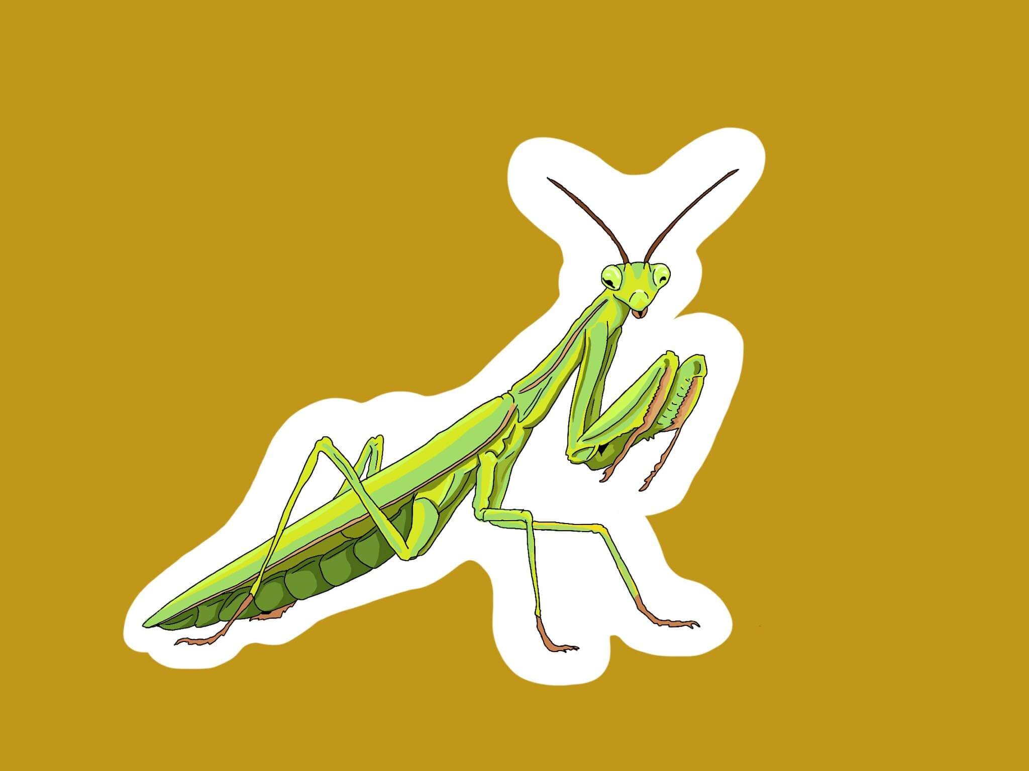 Praying Mantis Sticker - Etsy
