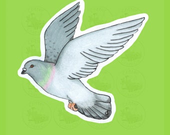 Pudgy Pigeon Sticker Matte Vinyl - Etsy