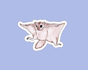 Flying Squirrel | Etsy