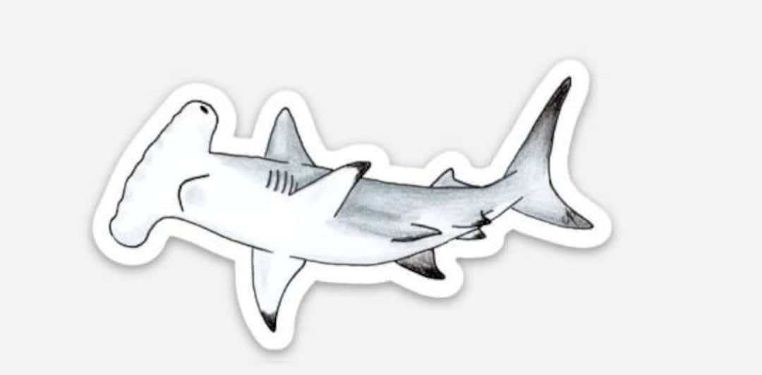 Hammerhead Shark Sticker - Etsy