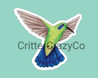 Hummingbird Die-cut Sticker Bird Sticker Hummingbird Die-cut Stricker ...
