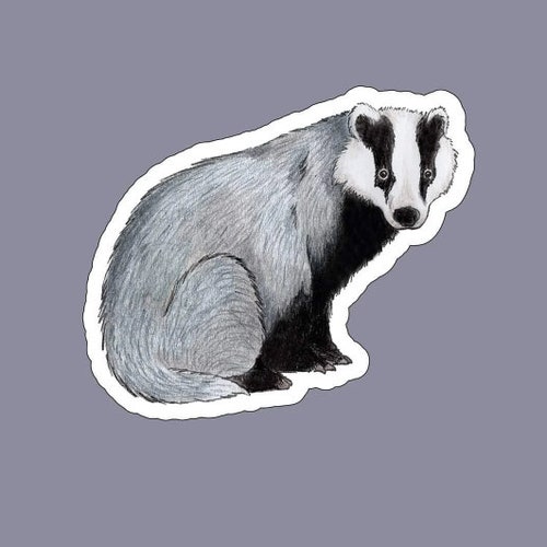 Cute Badger Sticker Set 8 Pcs - Etsy UK