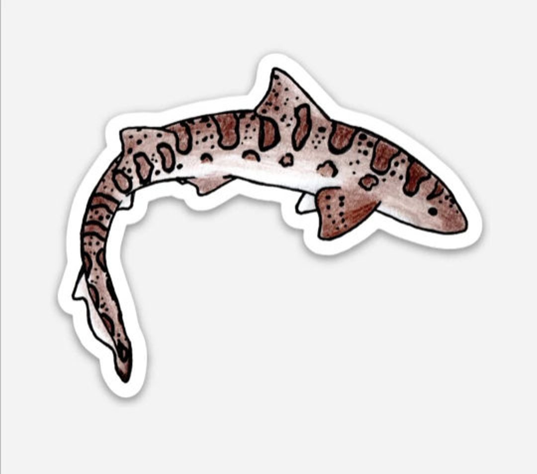 Leopard Shark Sticker WHITE Background - Etsy