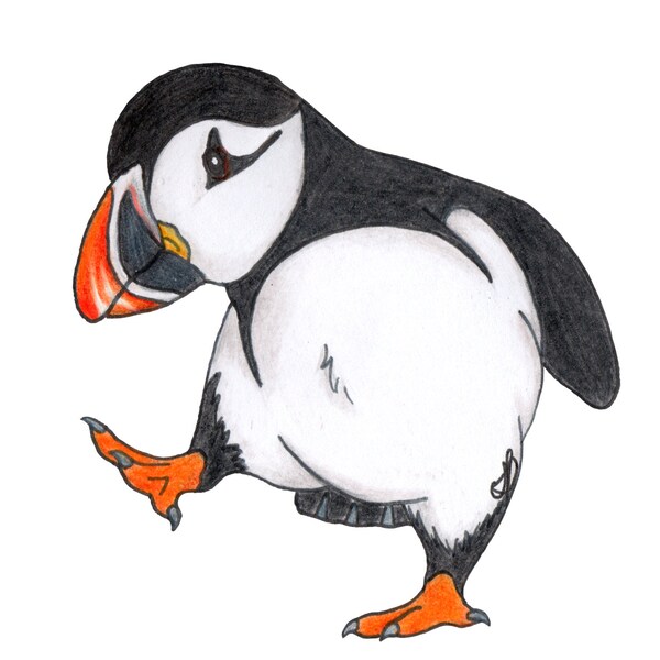 Puffin Stickers - Etsy