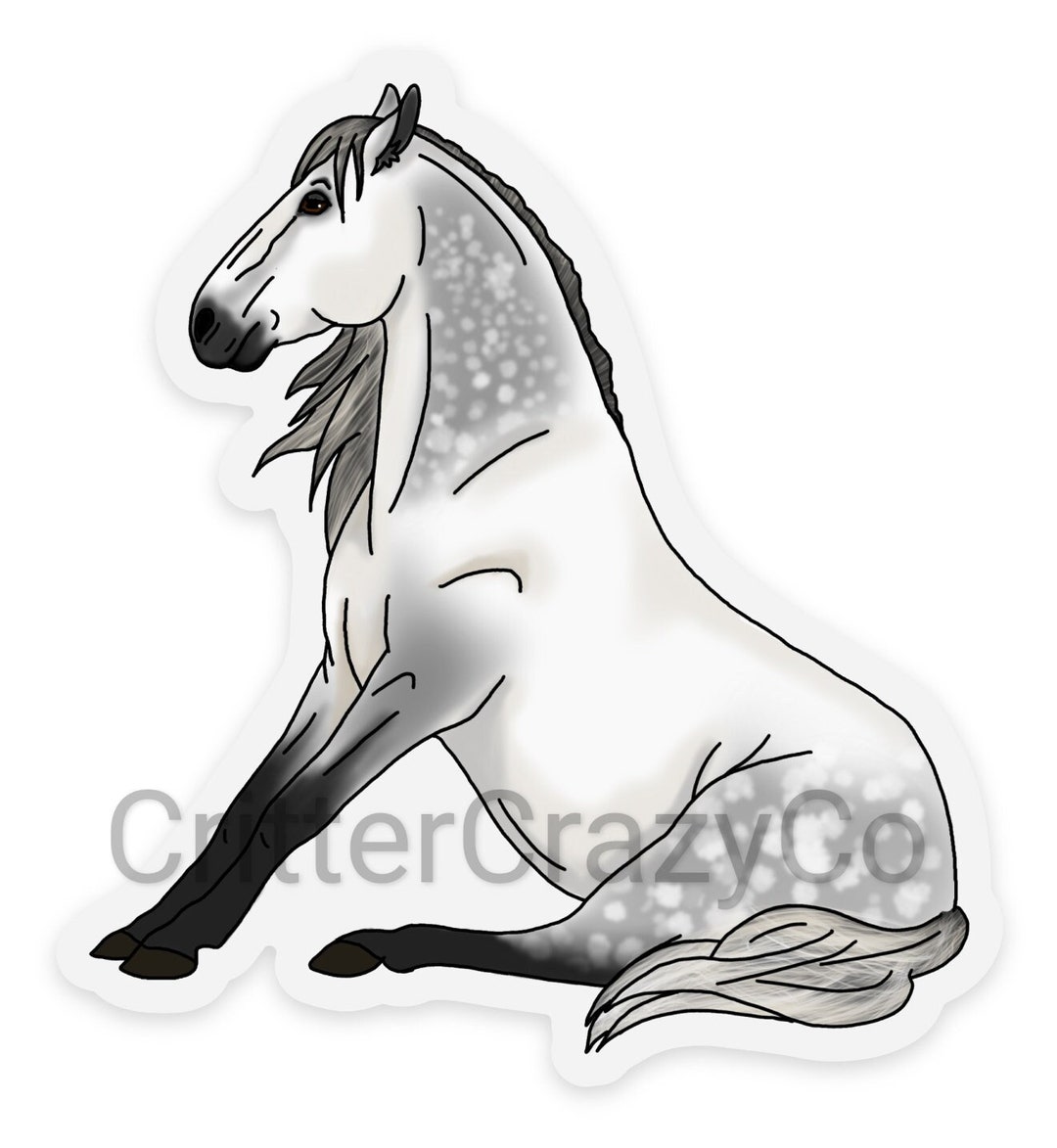 Lipizzan Horse Sticker, CLEAR BACKGROUND - Etsy