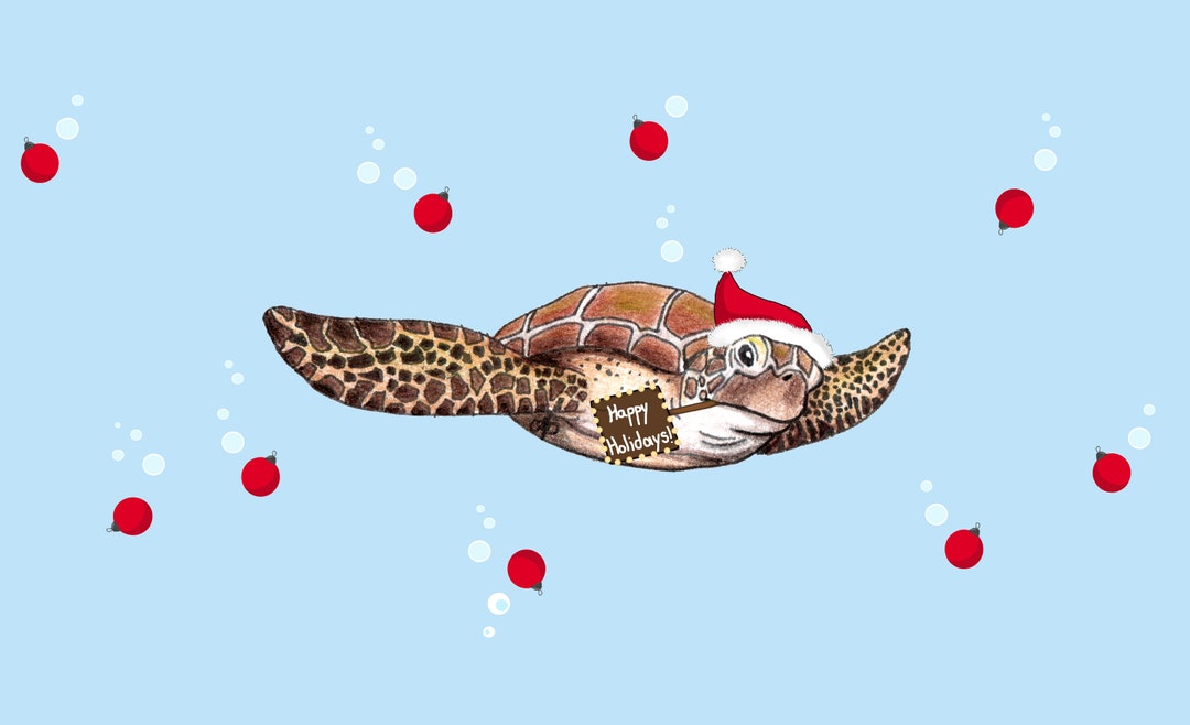 Christmas Sea Turtle PRINT - Etsy
