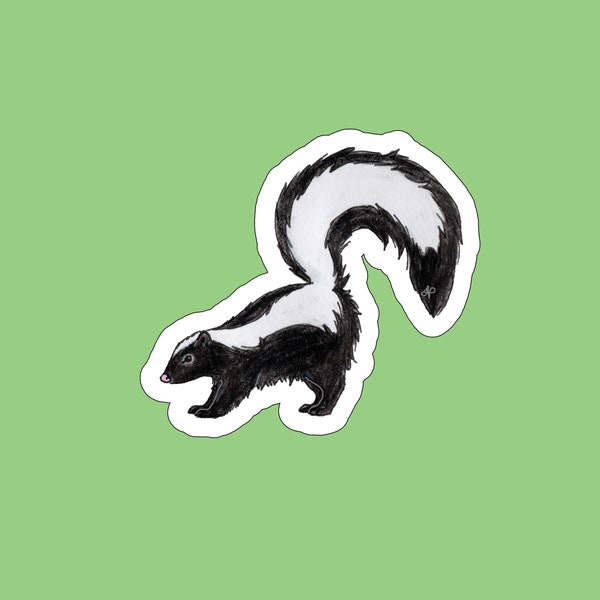 Skunk Sticker - Etsy