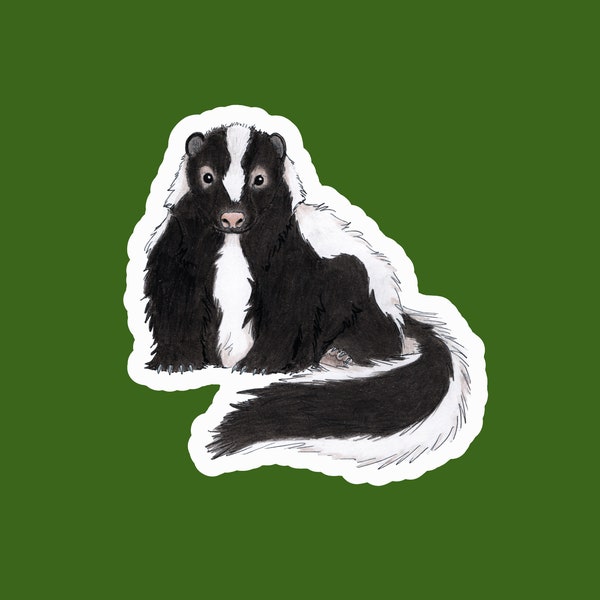 Skunk Sticker - Etsy