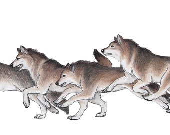 Running Wolf Pack Sticker - Etsy