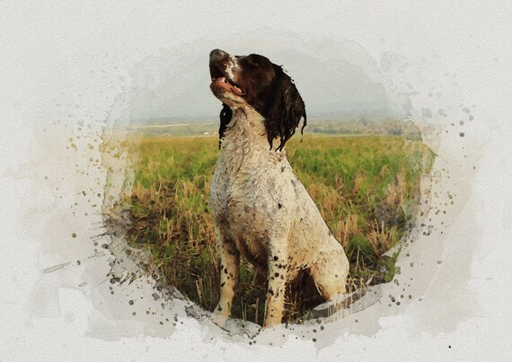 Working Cocker Spaniel Dog Wall Art Watercolour Print Dog | Etsy UK