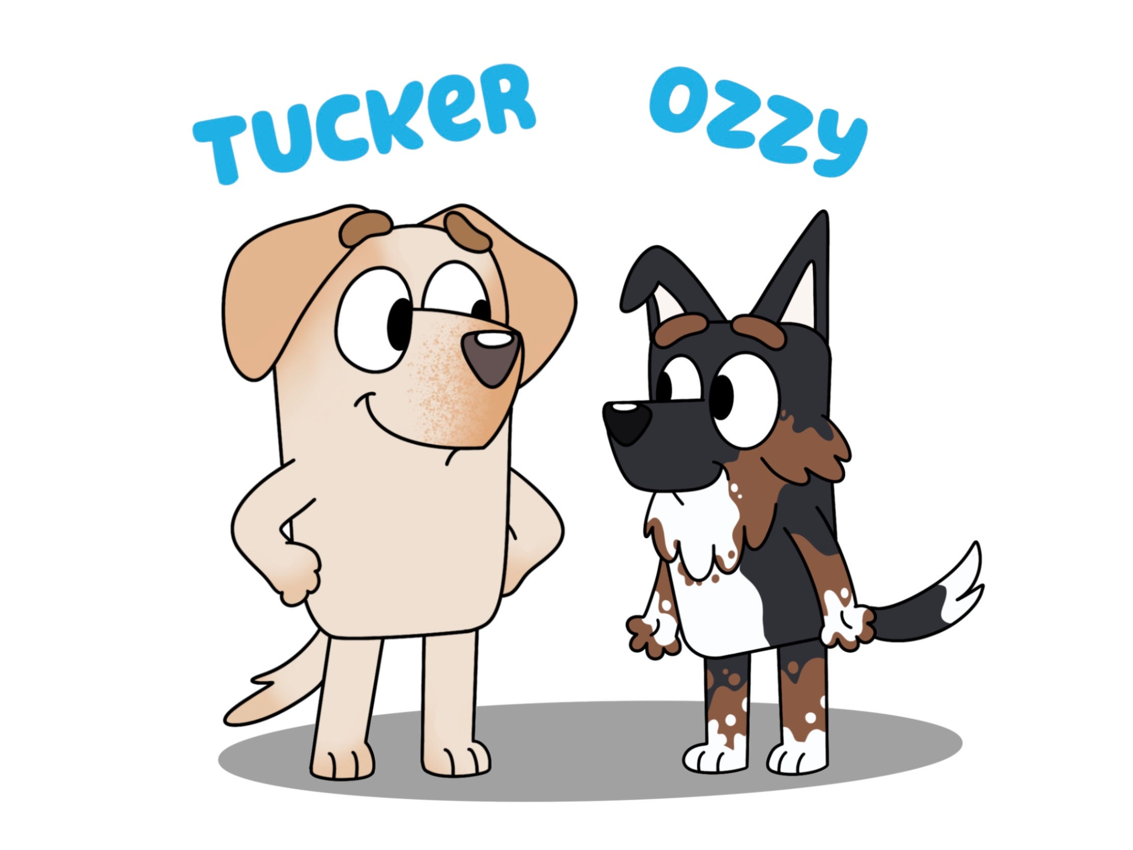 Customizable Bluey Character - Etsy