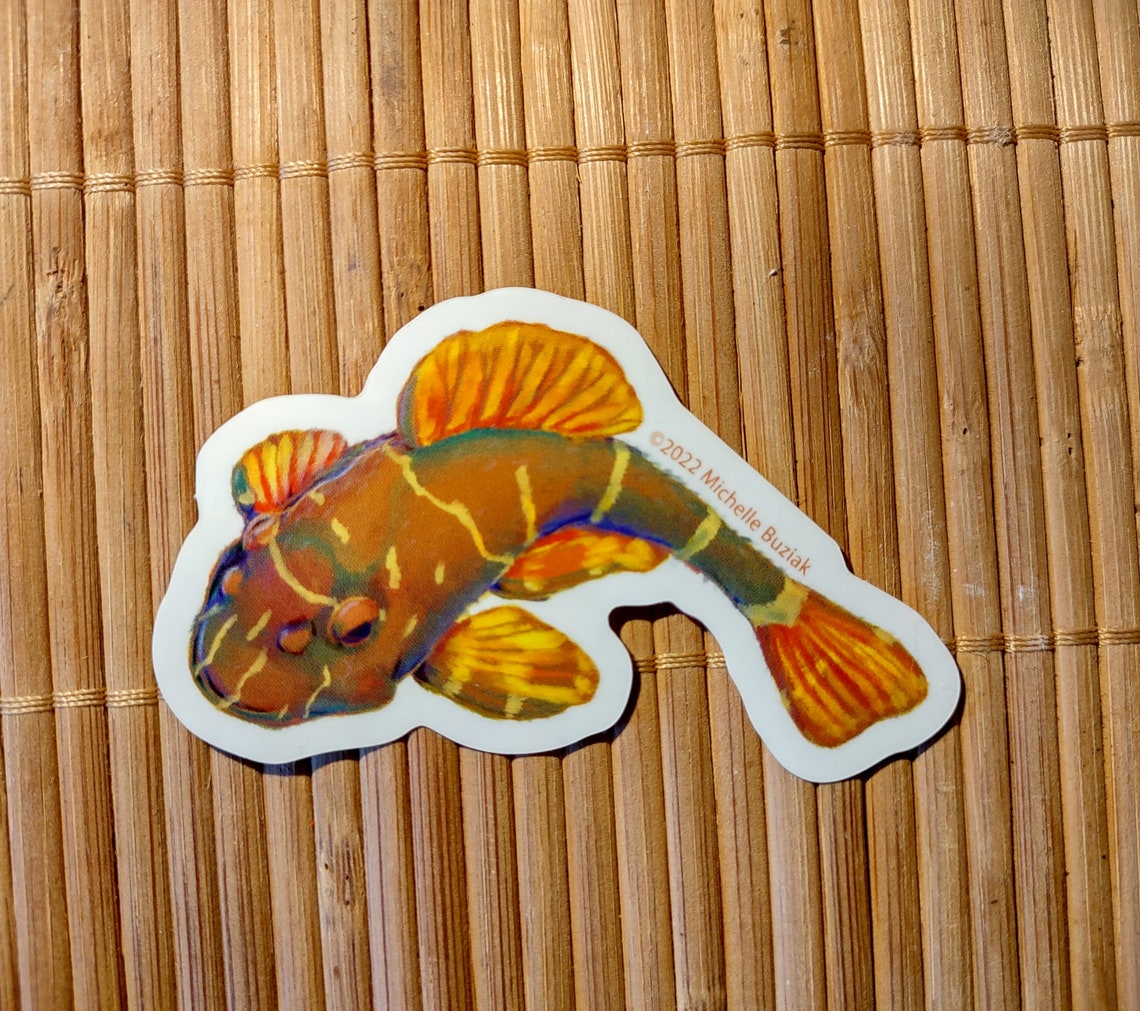 Stylized Clown Pleco Vinyl Sticker - Etsy
