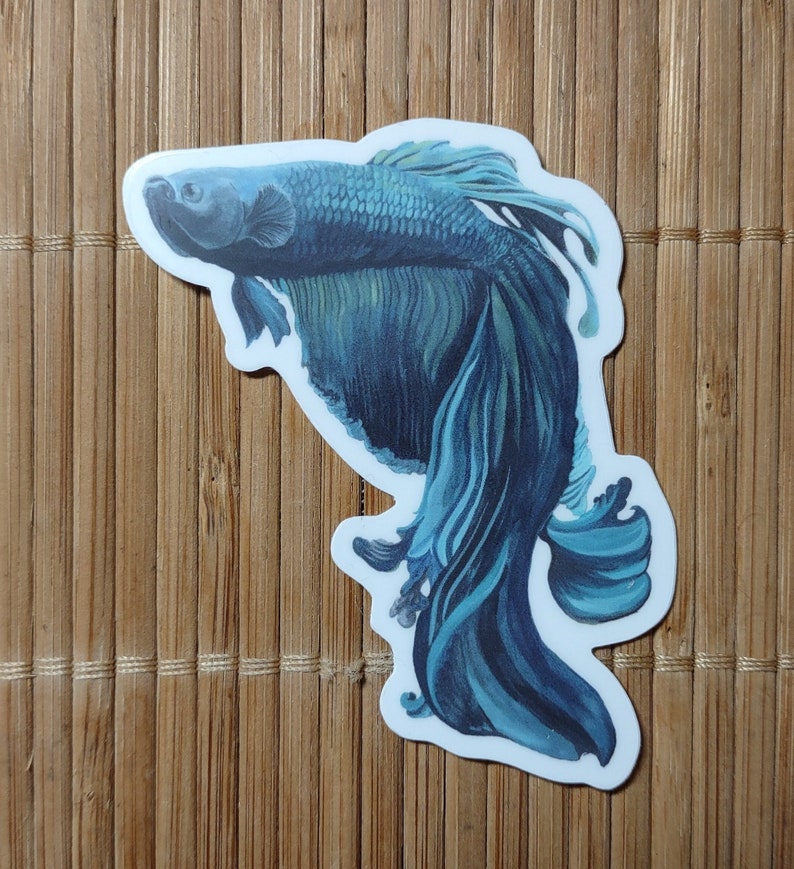 Betta Fish Vinyl Sticker - Etsy