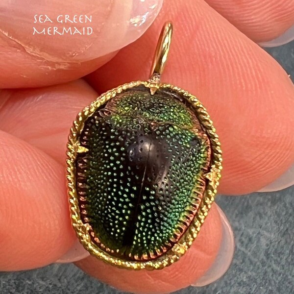Real Scarab - Etsy