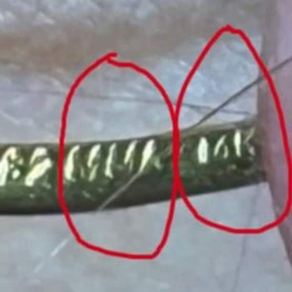 14k Gold Winged Angel Ship Figurehead Oval Hoop Earri… - Gem