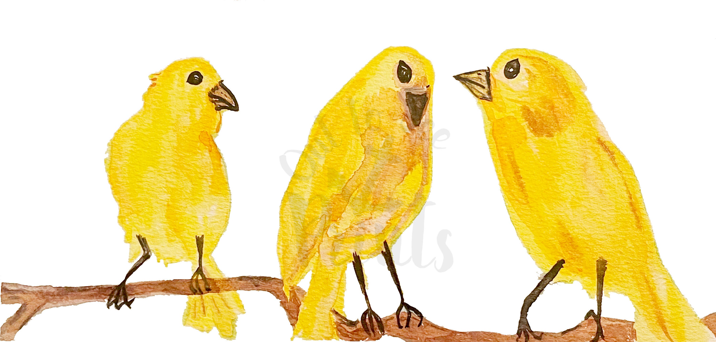 Canary Art Print, Watercolor Canary Painting, Watercolour, Yellow Bird ...