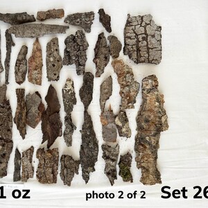 Maple Bark 11-11.5 Oz, Natural Bark Flats, Hardwood Bark, Curvy Bark ...