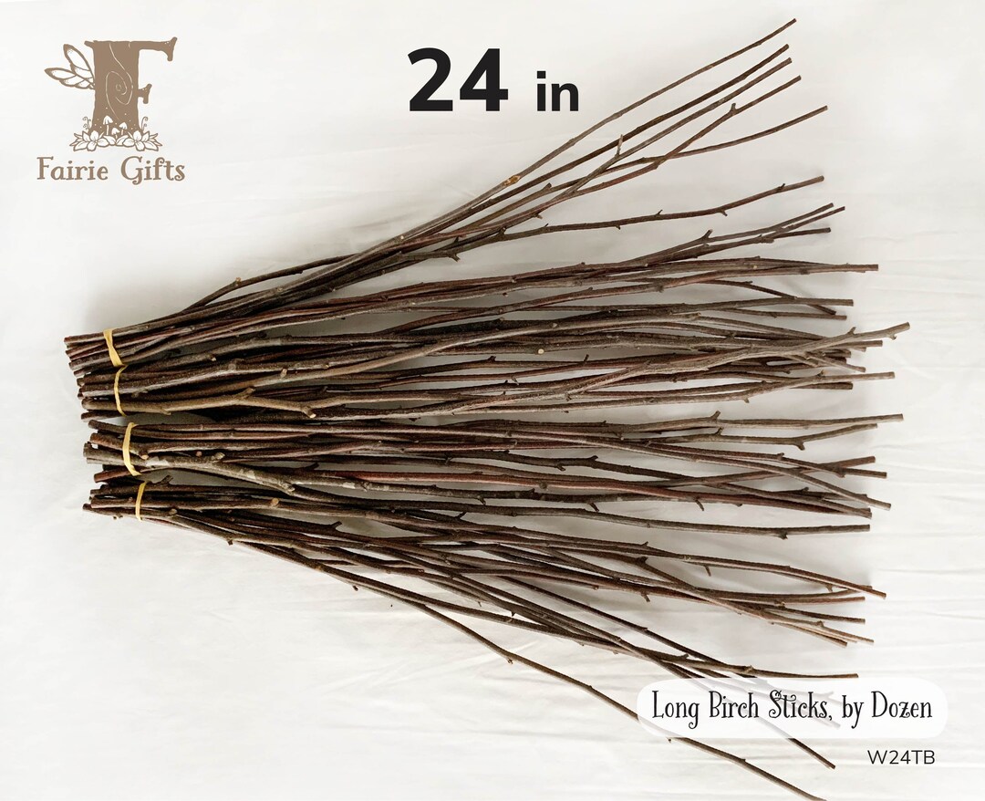 Red Birch Sticks 24 In. Long, Thin Wood Sticks 12 Ct, Dried Wooden ...